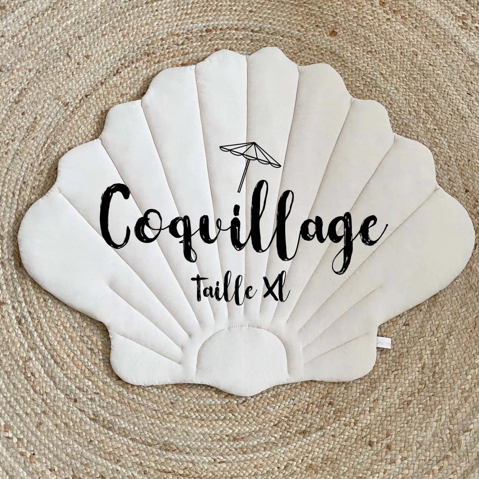 Les Coquillages | Cassis et Petit Houx